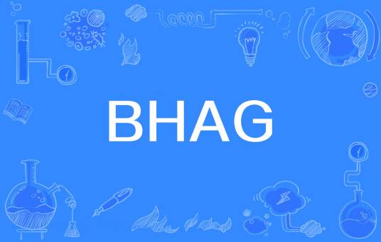 BHAG_百度百科