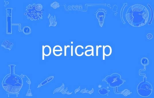 pericarp_百度百科