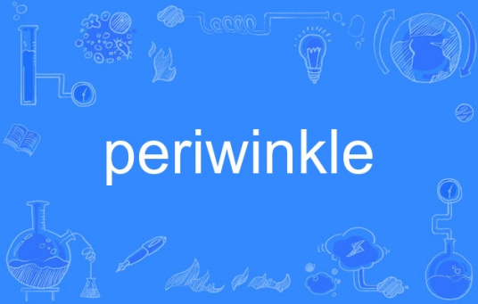 periwinkle_百度百科