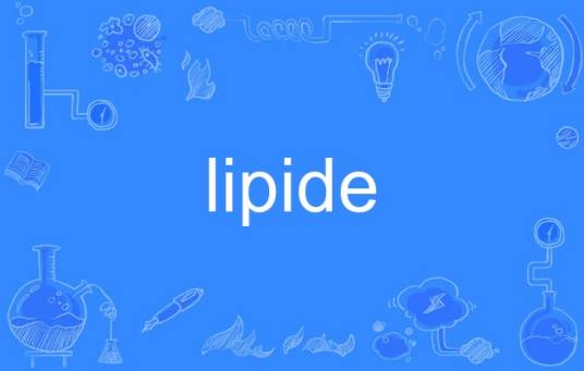 lipide_百度百科