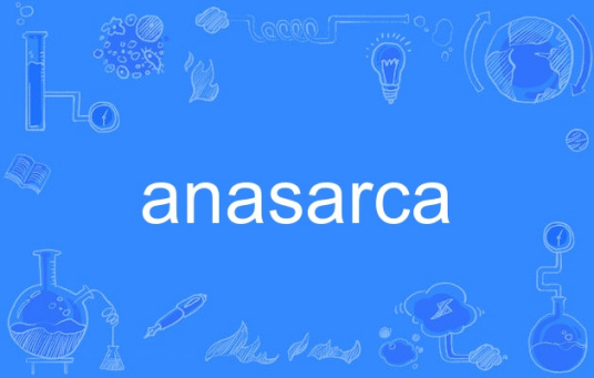 anasarca_百度百科