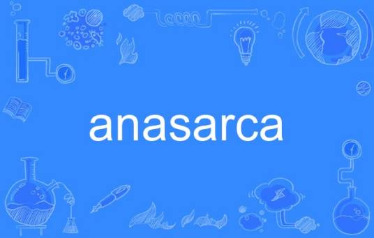 anasarca_百度百科