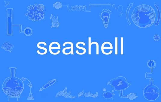 seashell_百度百科