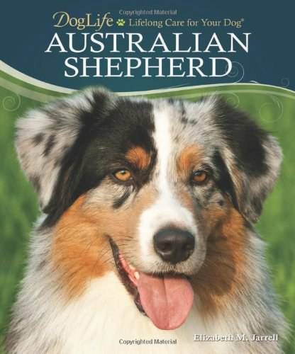 Australian Shepherd_百度百科