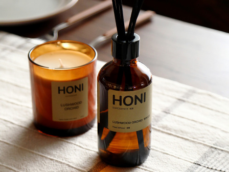 HONI EXPERIENCE_百度百科