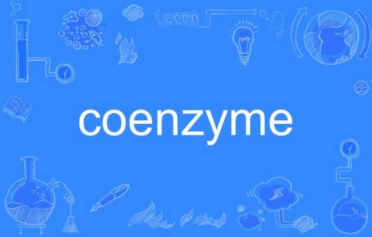 coenzyme_百度百科