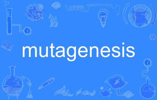 mutagenesis_百度百科