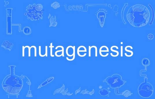 mutagenesis_百度百科