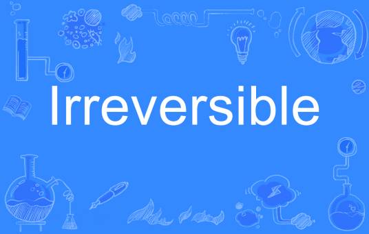 Irreversible（英语单词）_百度百科