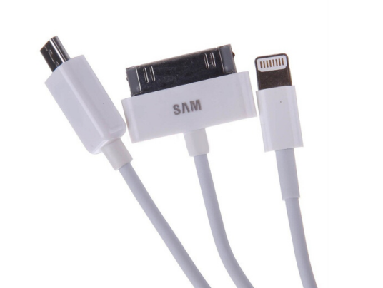 nutP-S1-39_百度百科