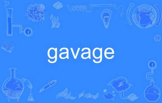 gavage_百度百科
