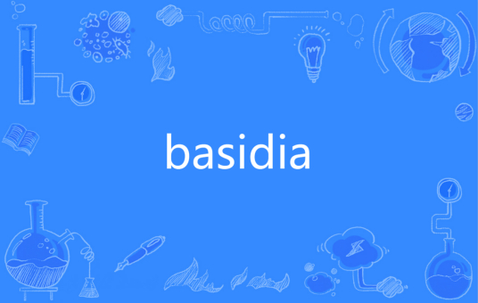 basidia_百度百科