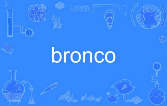 bronco_百度百科