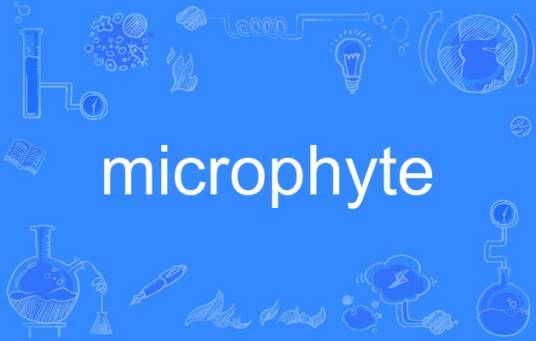 microphyte_百度百科