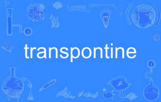 transpontine_百度百科