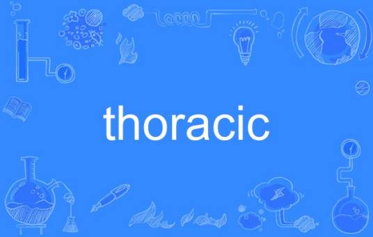 thoracic_百度百科