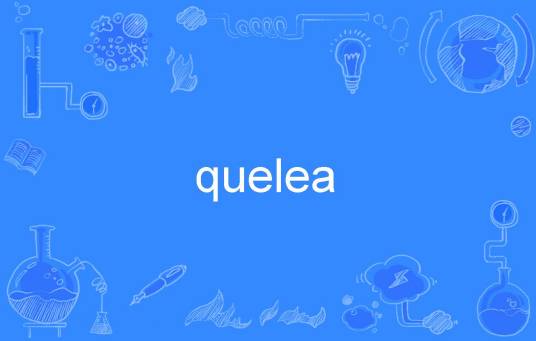 quelea_百度百科