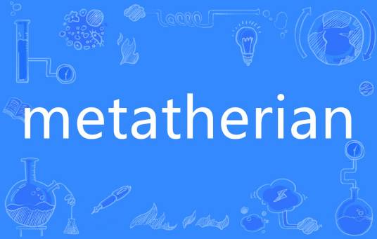 metatherian_百度百科