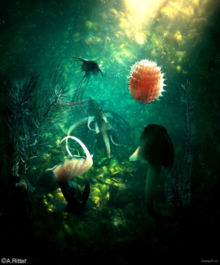 4D（名词概念）_百度百科