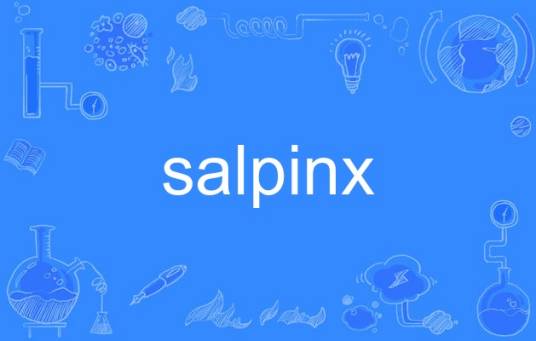 salpinx_百度百科
