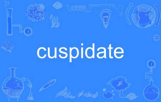 cuspidate_百度百科