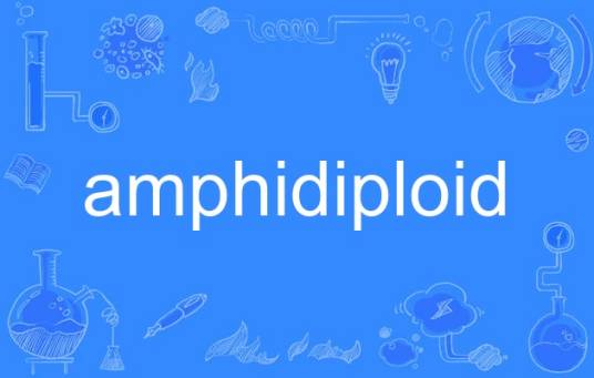 amphidiploid_百度百科