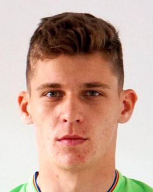 TARNOVANU Stefan_百度百科