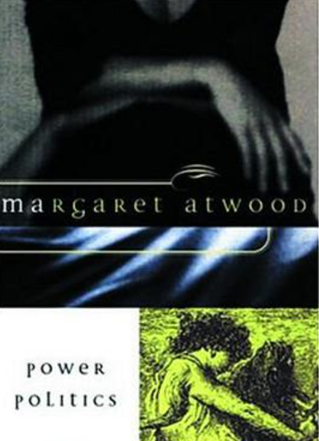 Power Politics（1996年House Of Anansi出版的图书）_百度百科