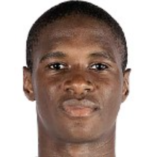 易卜拉欣·迪亚拉（马里足球运动员）_百度百科