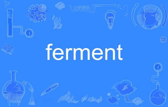 ferment_百度百科