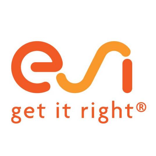 ESI（法国ESI集团）_百度百科