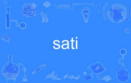 sati（英语单词）_百度百科