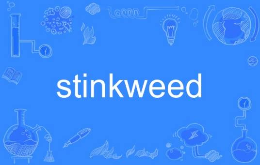 stinkweed_百度百科