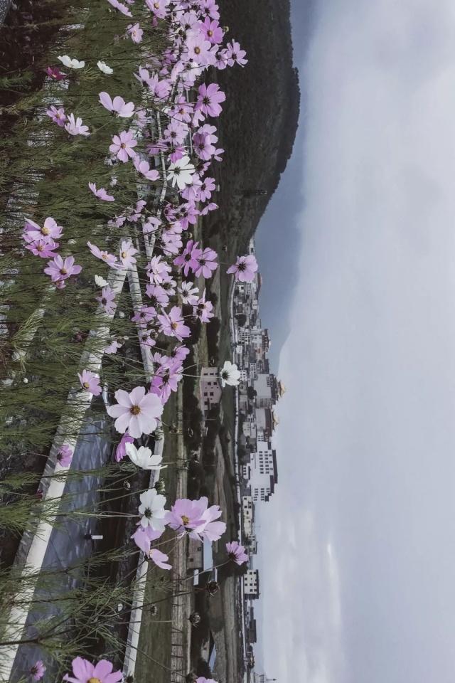 香格里拉美在哪？_百科TA说