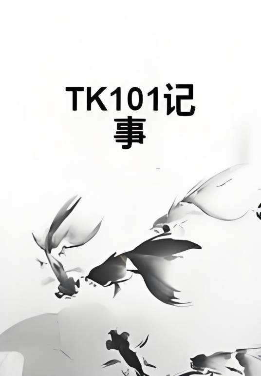 TK101记事_百度百科