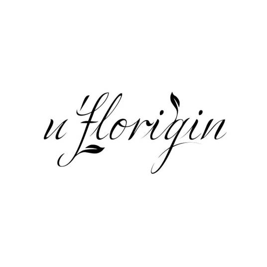 U'FLORIGIN_百度百科