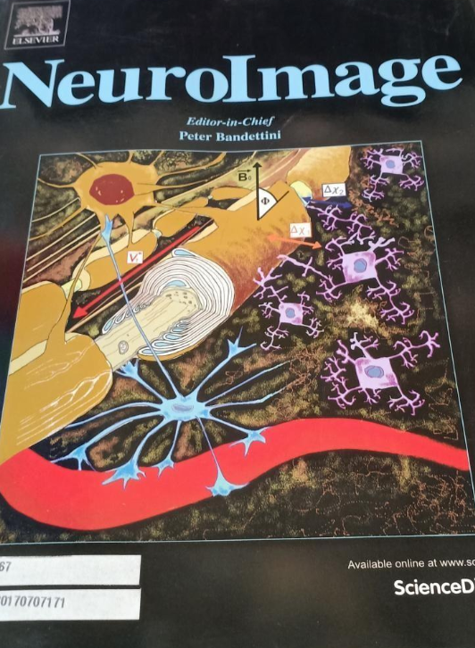 NEUROIMAGE（1992年Elsevier出版的图书）_百度百科