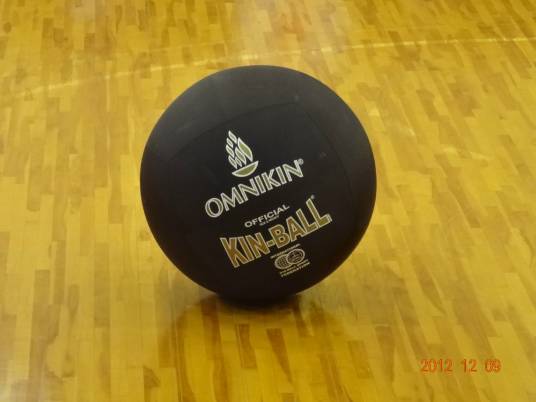 KIN-BALL_百度百科