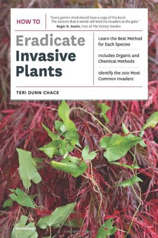 How to Eradicate Invasive Plants_百度百科