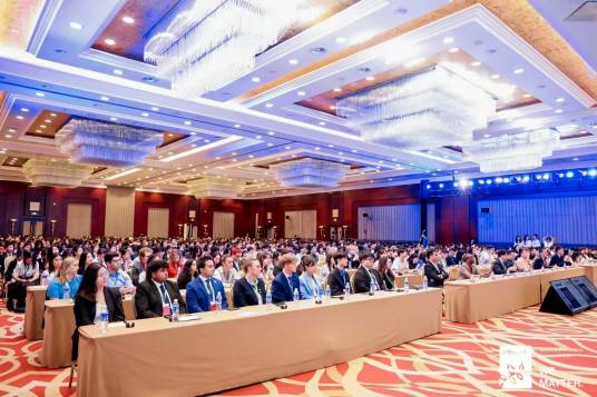 全球青年模拟联合国大会 WEMUN EXPO_百度百科