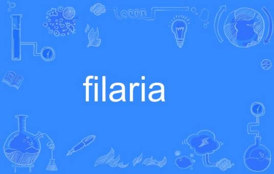 filaria_百度百科