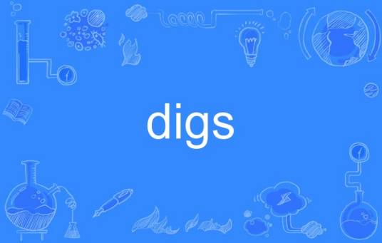 digs_百度百科