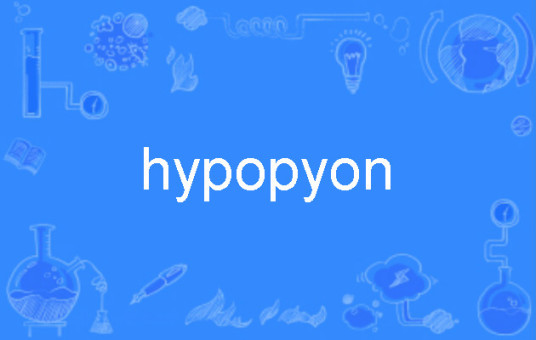 hypopyon_百度百科