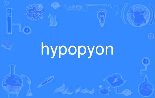 hypopyon_百度百科