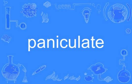 paniculate_百度百科