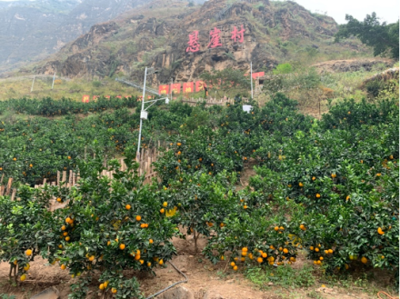 阿土列尔村_百度百科