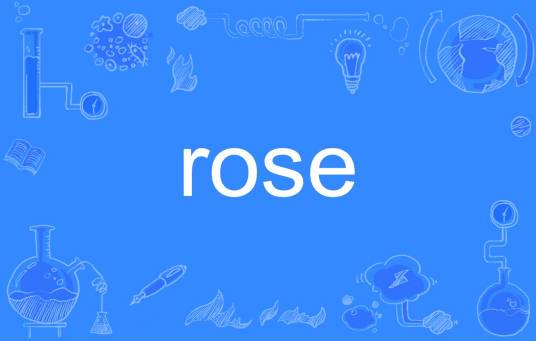 rose（英语单词）_百度百科