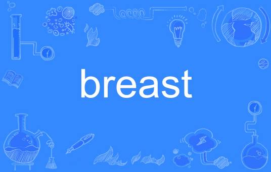 breast_百度百科