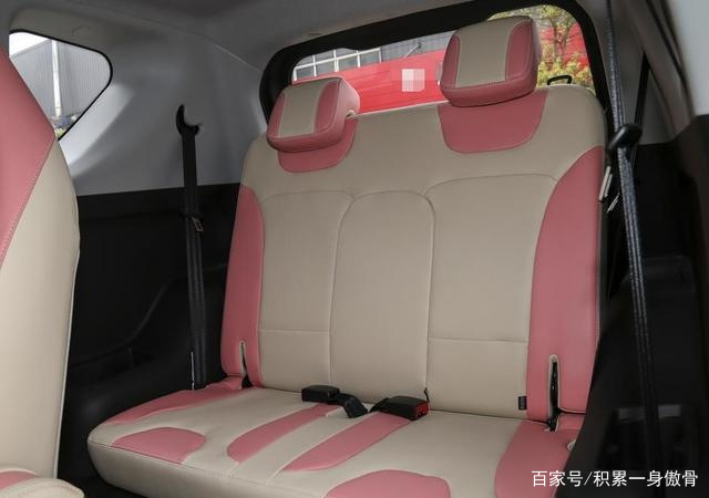 他们都是，在众泰E201和奇瑞eQ1的班级里谁更高？看完之后_百科TA说