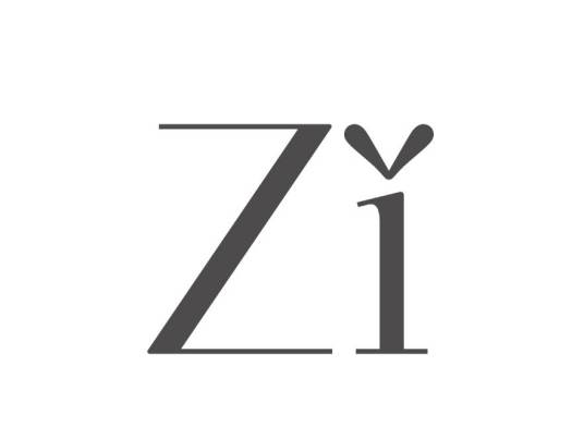 ZI_百度百科